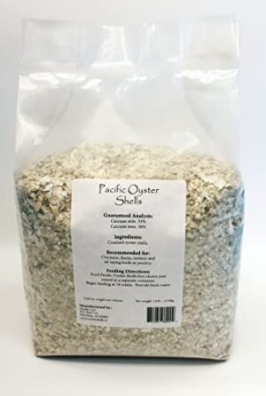 Pacific Oyster Shells - Crushed Oyster Shell Calcium Supplement for Egg ...