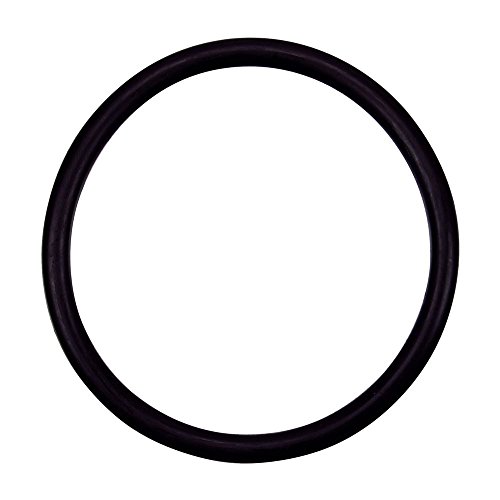 Pentair 154492 2-Inch Bulkhead O-Ring Replacement Pool and Spa Sand ...