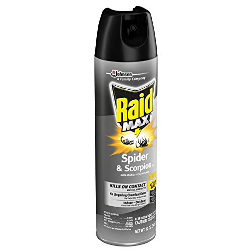 Shop and Save on Raid Max Max Spider & Scorpion Killer - 12 oz - 2 pk ...