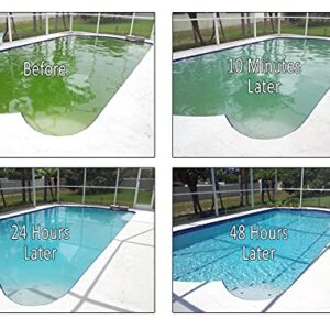 REVIVE! Swimming Pool Phosphate and Algae Remover Chemical for Pools ...