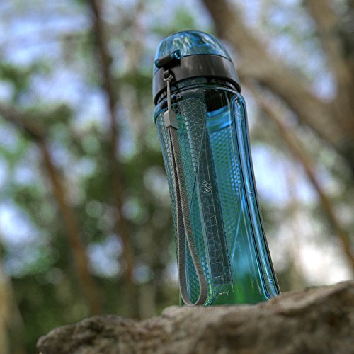 Invigorated Water Alkaline Water Filter Bottle With Carry Case ...