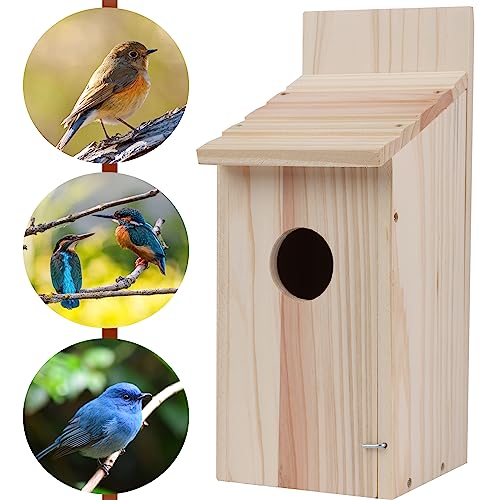 Oceek Cedar Blue Bird Box House Wood Bird House Bluebird Box House ...