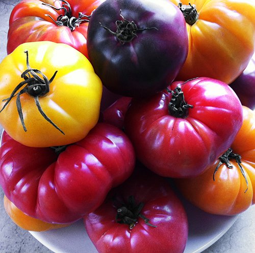 This is A Mix!!! 30+ Rainbow Deluxe Tomato Seeds Mix 16 Varieties ...