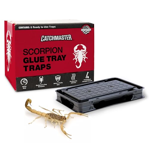 Catchmaster Scorpion Glue Tray Traps 6-Pack, Adhesive Scorpion Killer ...