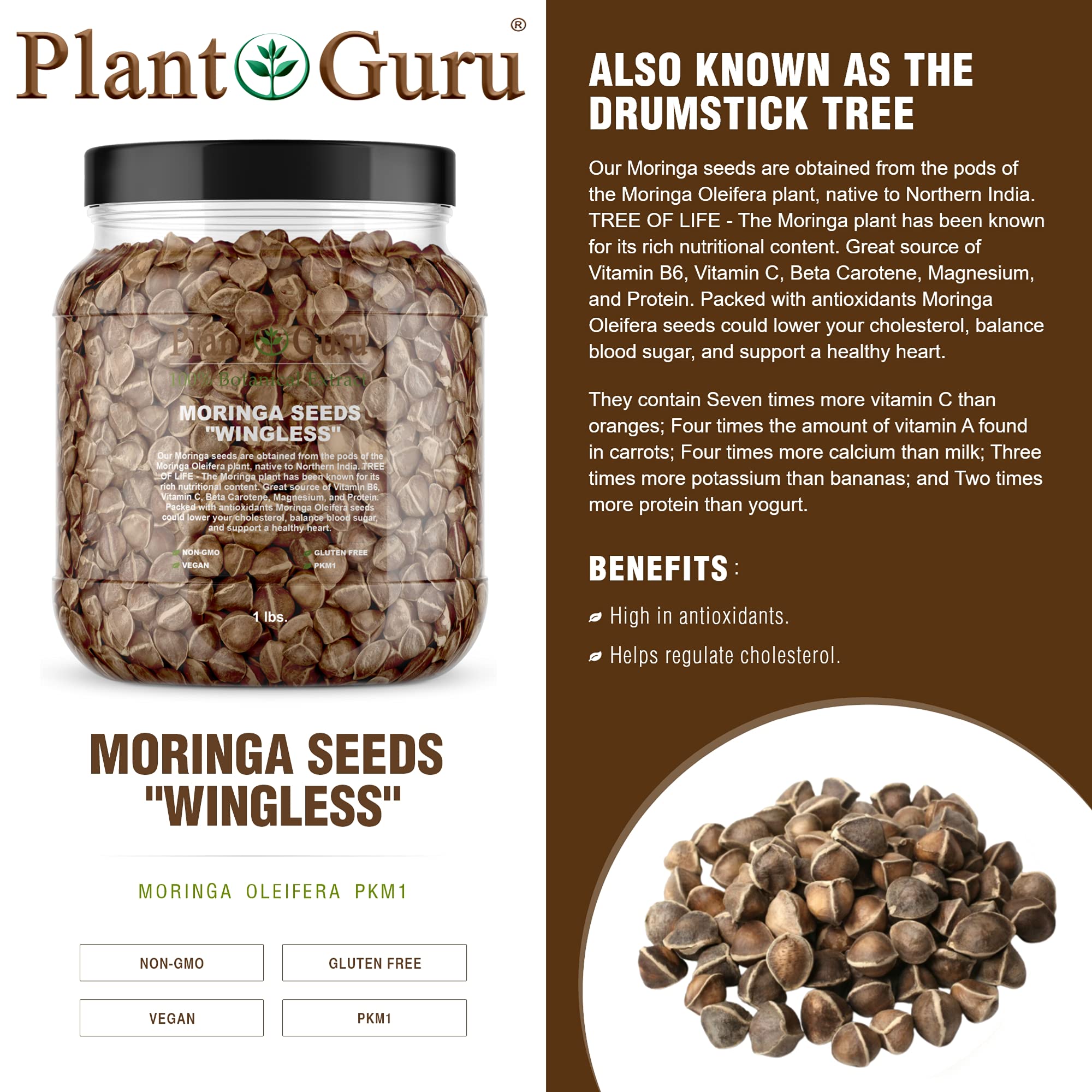 Moringa Seeds Wingless 1 lb. Wide Mouth JAR - PKM1 Variety - Edible ...