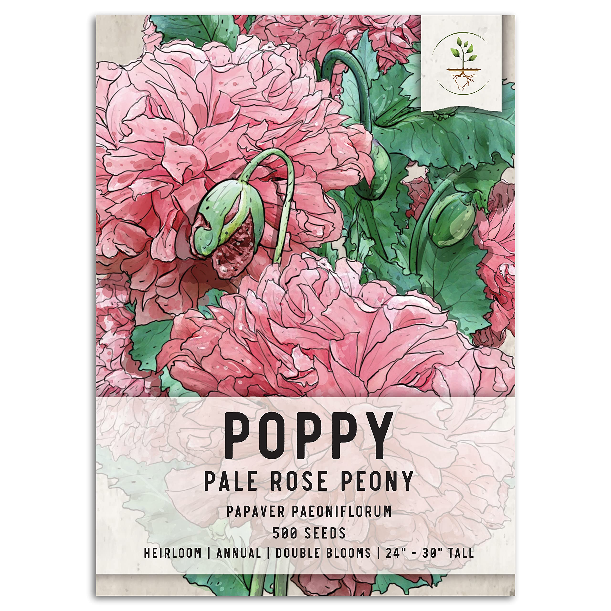 Seed Needs, Pale Rose Peony Poppy Seeds - 500 Heirloom Seeds for ...