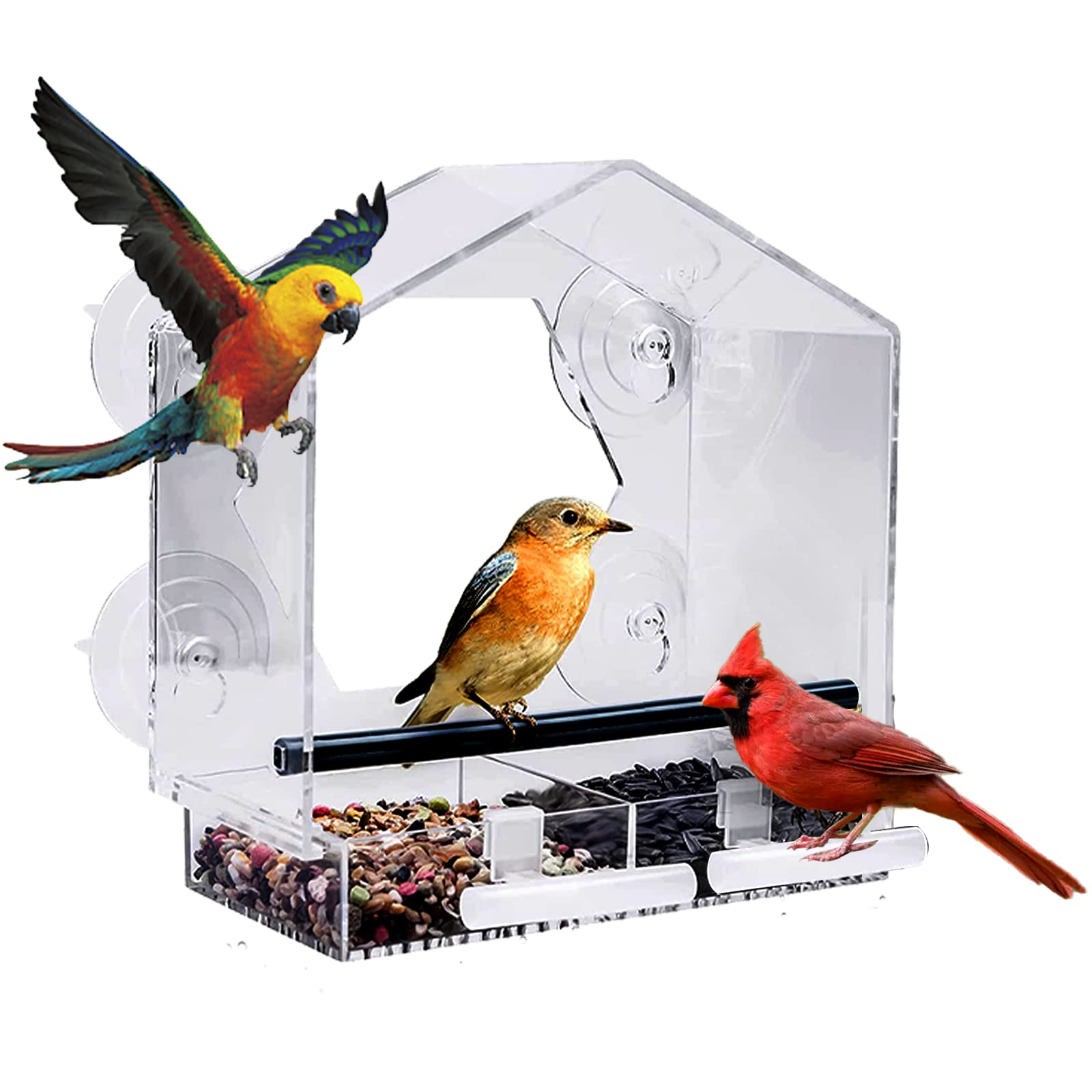 Transparent Window Bird Feeder with Strong Suction Cups for Wild Birds ...