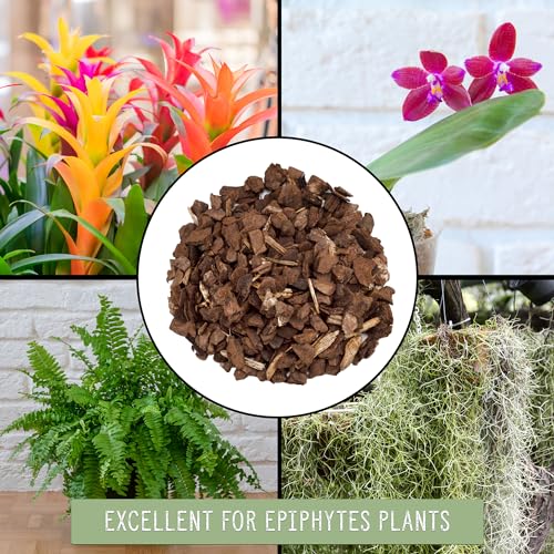 100% Organic Orchid Potting Bark (4 Quarts), All-Natural USA-Sourced ...