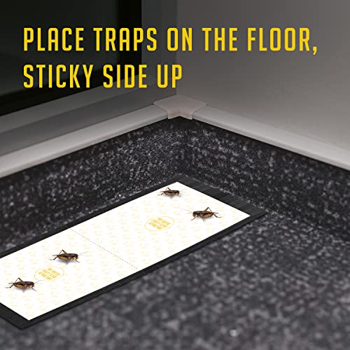 Cricket Traps Indoor (12 Traps) Extra Large Bug Sticky Traps - Non ...