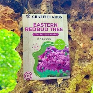 Eastern Redbud Tree Sakura Bonsai American Redbud Cercis Canadensis 15 ...