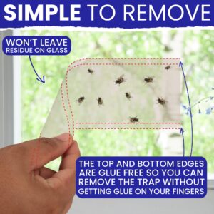 Window Fly Traps Indoor Clear 15pk Strips Indoor. The Only Double Strip ...