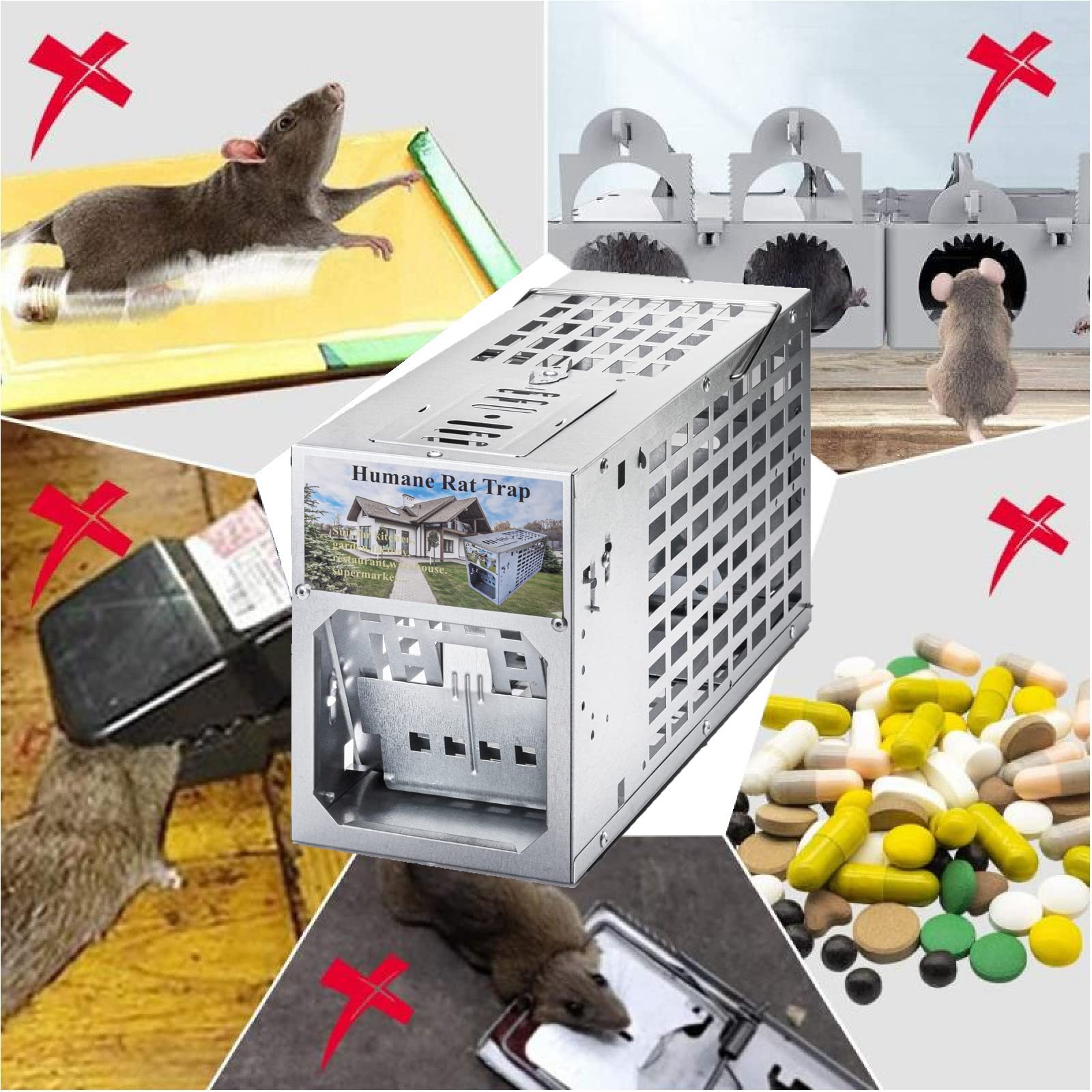 Joozer Humane Rat Trap That Work Live Mouse Trap Indoor Catch and ...