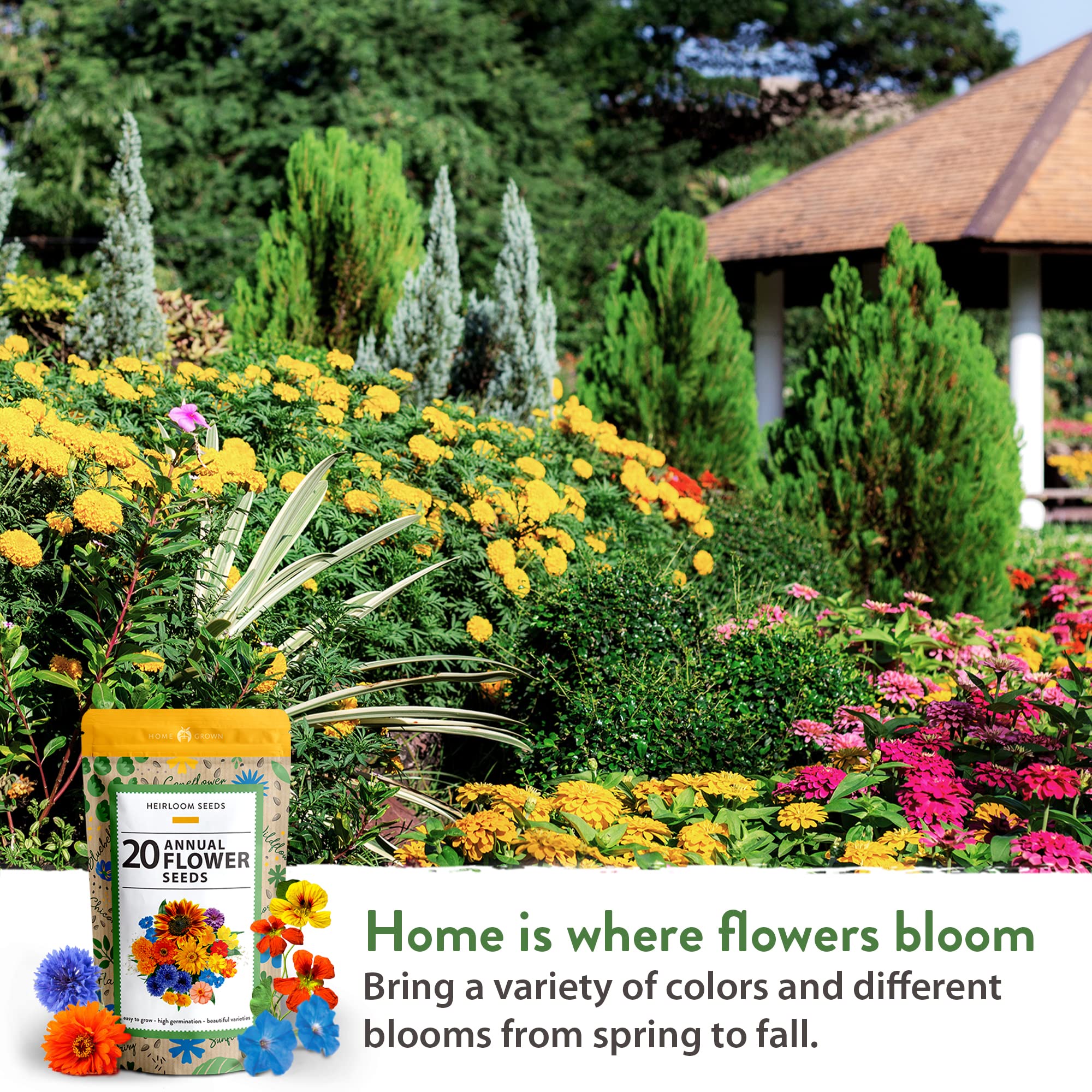 HOME GROWN 20 Flower Seeds Variety Pack - Individual Flowers Seeds for ...