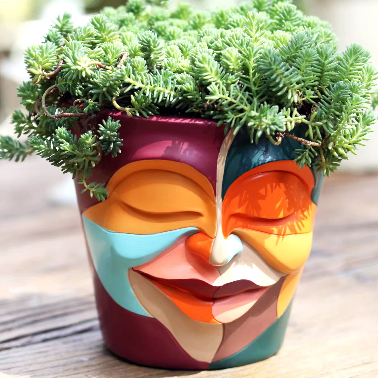 GUGUGO Abstract Rainbow Head Planter, Unique Face Plant Pot with ...