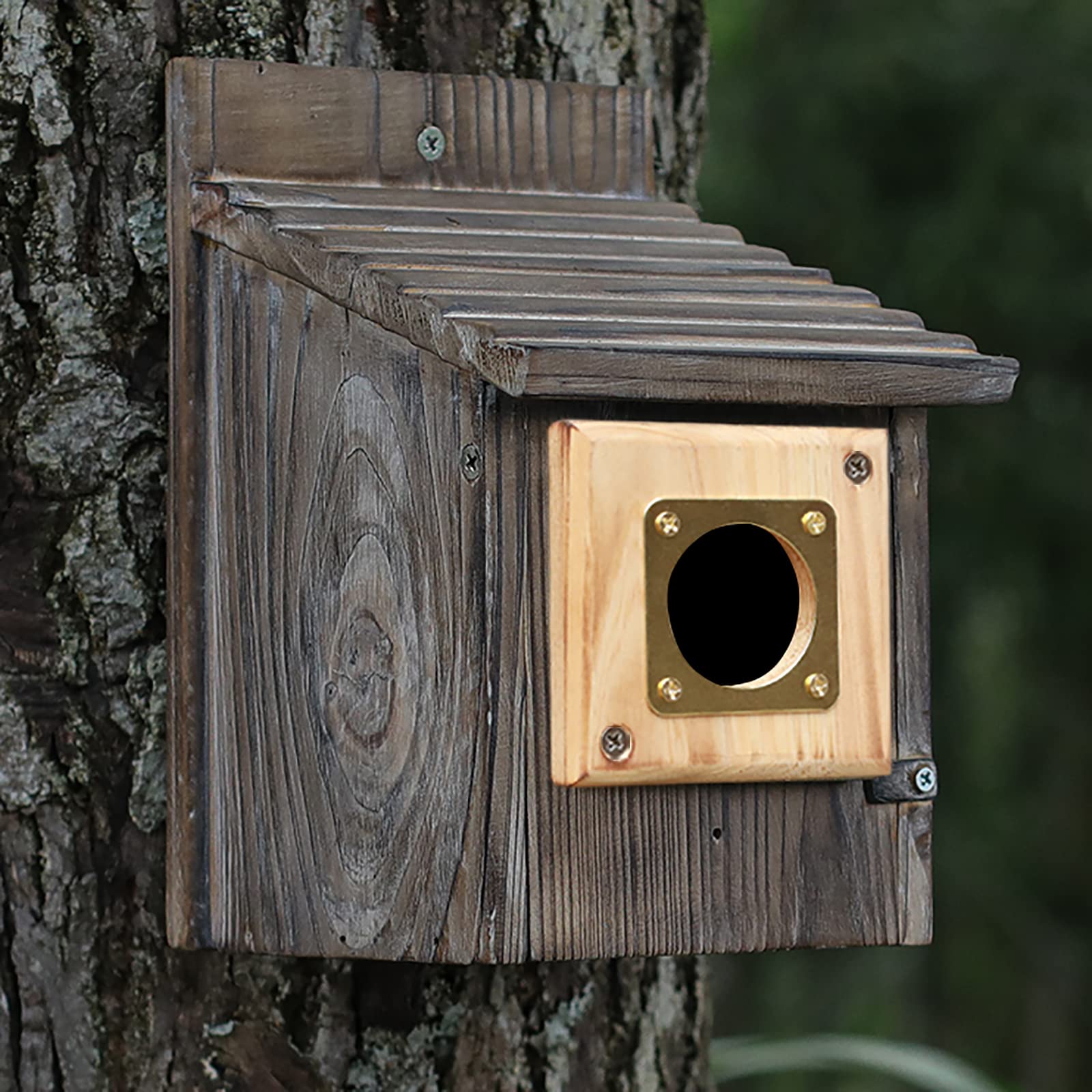 Bluebird House Predator Guard,Metal Birdhouse Guard,Bird House Hole ...