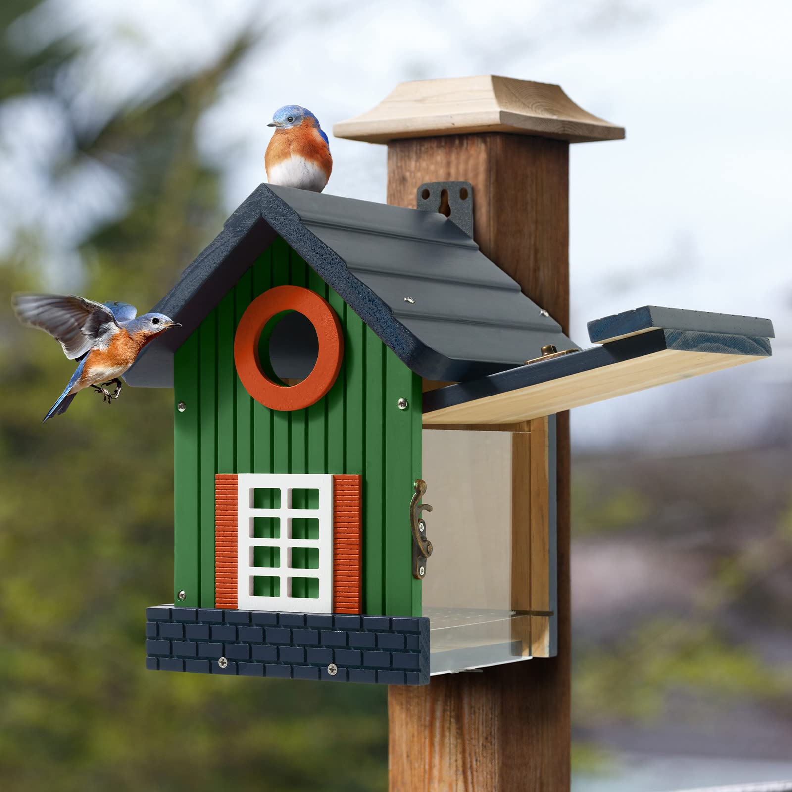 Kingsyard Design Bird House with Predator Guard, Colorful Birdhouse for ...