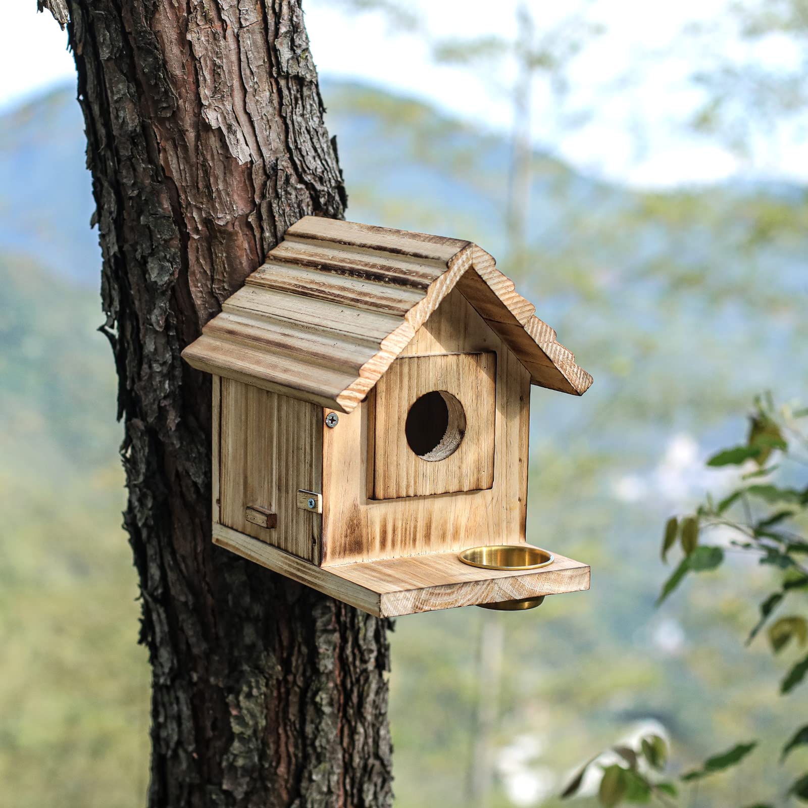 Bird House Birdhouse for Outside Wooden Bluebird House with Predator ...