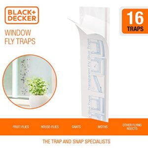 BLACK+DECKER Fruit Fly Trap- Fly Trap- Gnat Trap- Gnat Killer Indoor ...