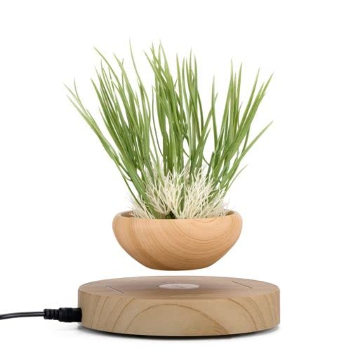 YBKJSTR LED Levitating Air Bonsai Pot Magnetic Levitation Suspension ...