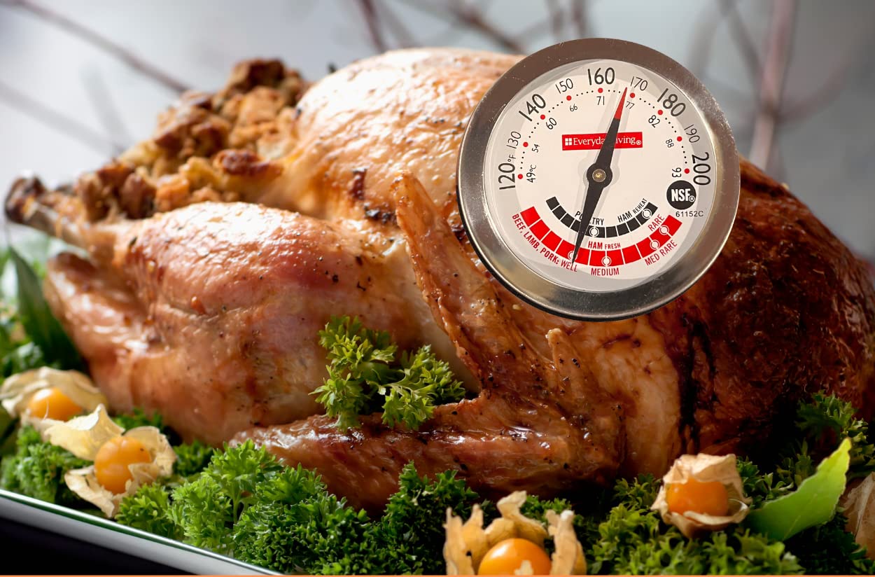 Everday Living Meat Thermometer — 🛍️ The Retail Market