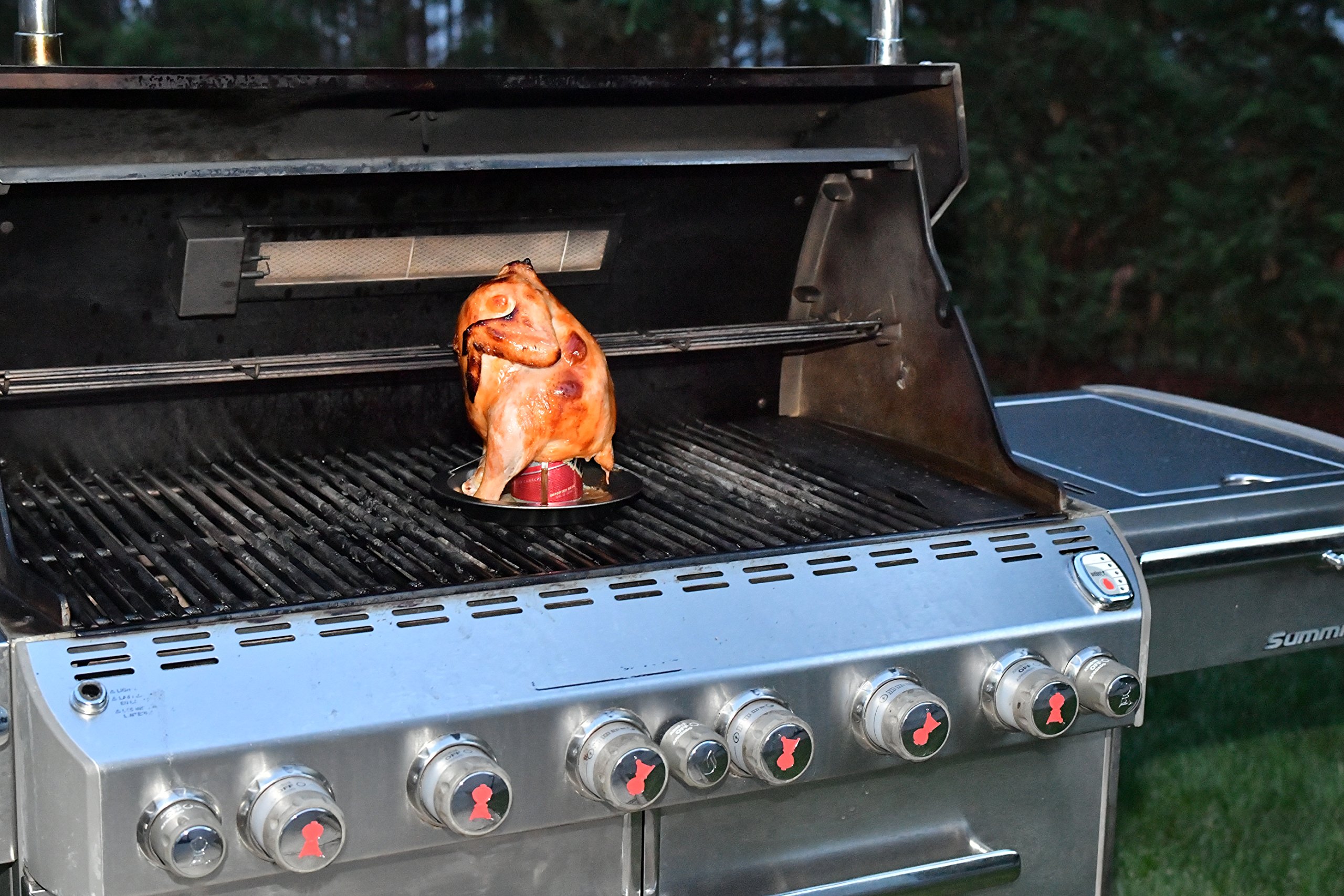 Barbecue Beer Can Chicken Roaster - by Home-X — 🛍️ The Retail Market