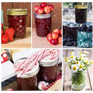 SPANLA Mason Jars 8 oz, 24 Pack Canning Jars 8 oz Half Pint Glass jars ...