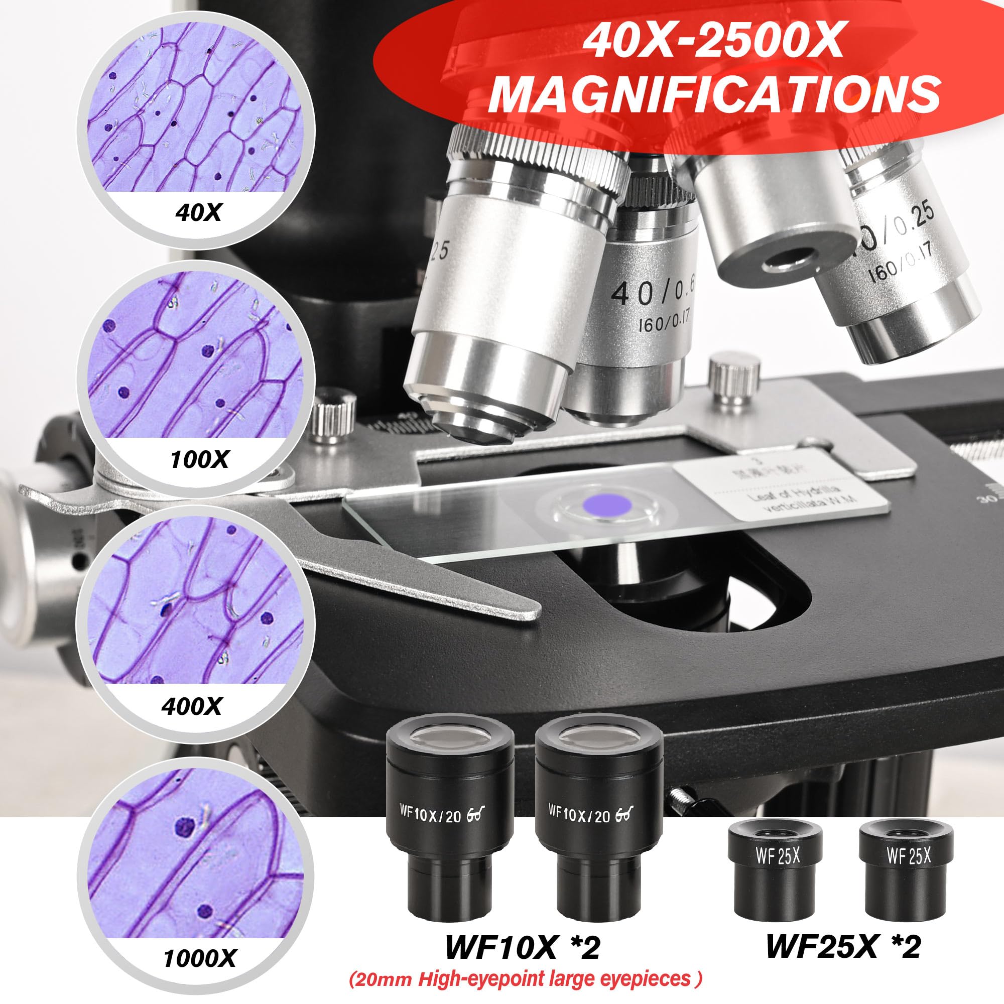 HSL 40X-2500X Binocular Compound Microscope Profesional,3MP Camera ...