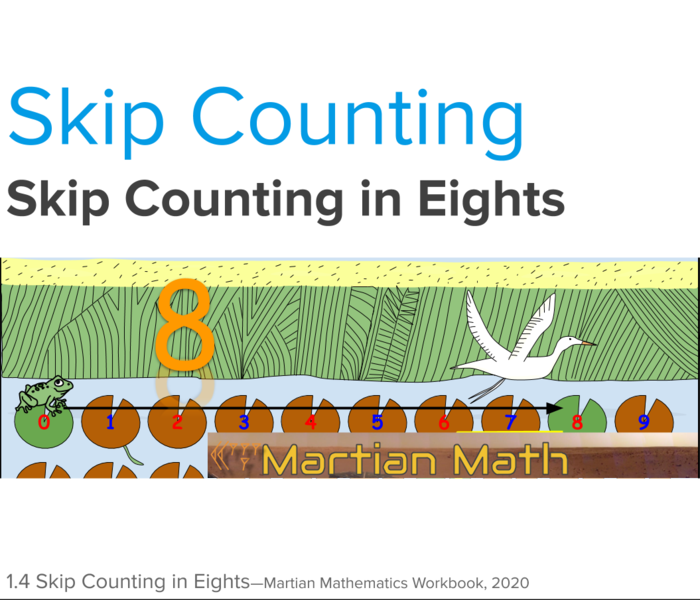 Skip Counting in Eights — 🛍️ The Retail Market