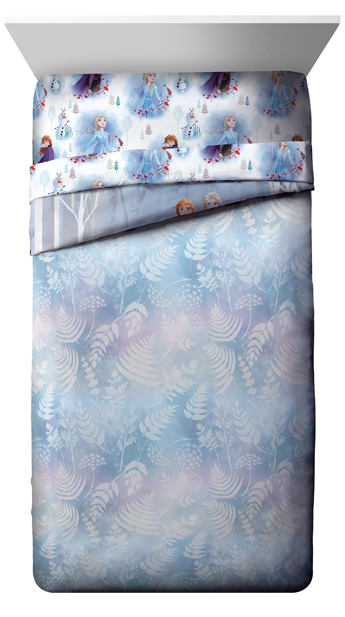 Jay Franco Disney Frozen 2 Forest Spirit Twin/Full Comforter & Sham Set ...