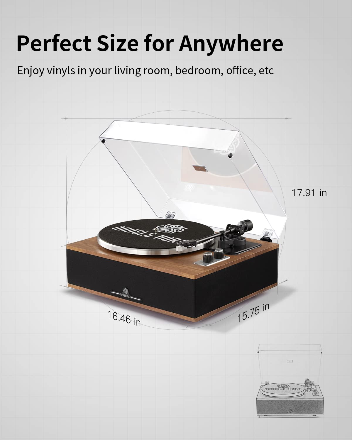 ANGELS HORN Vinyl Record Player, Bluetooth Turntable with Built in ...