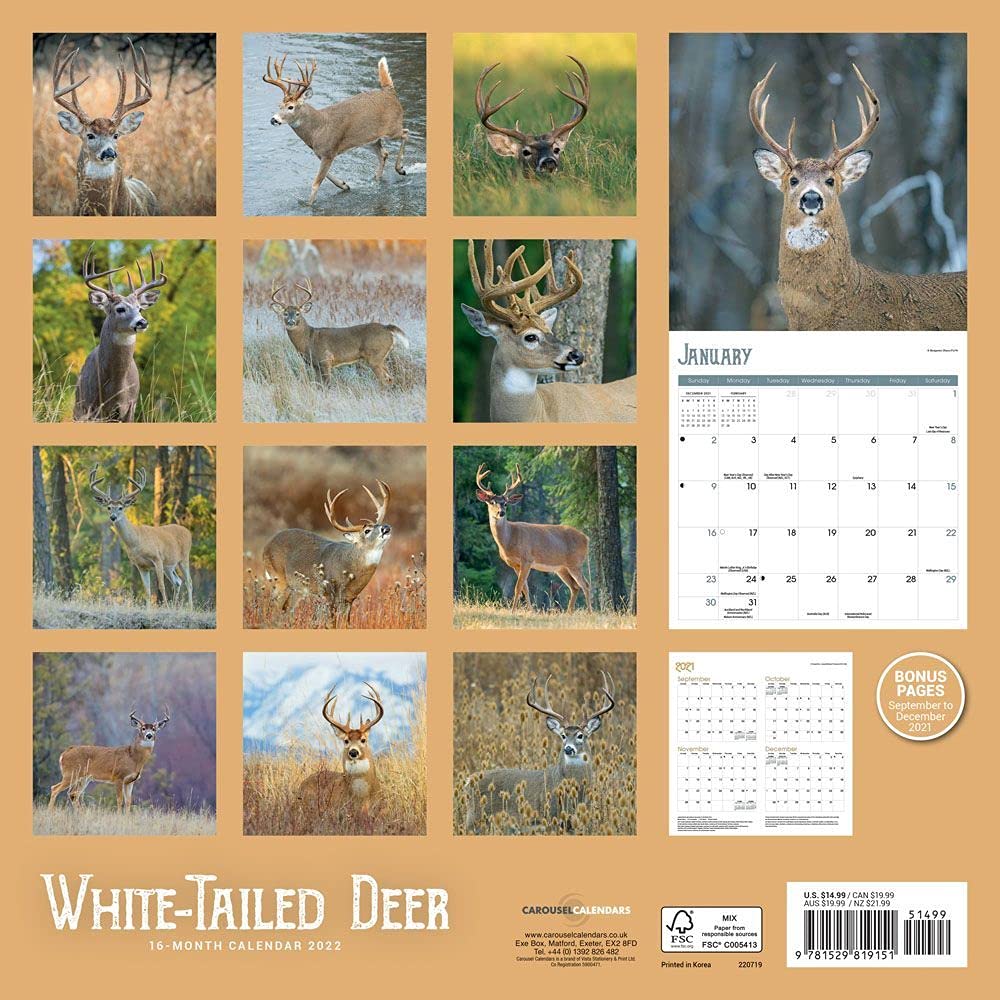 Carousel Calendars, White Tailed Deer 2022 Wall Calendar — 🛍️ The ...