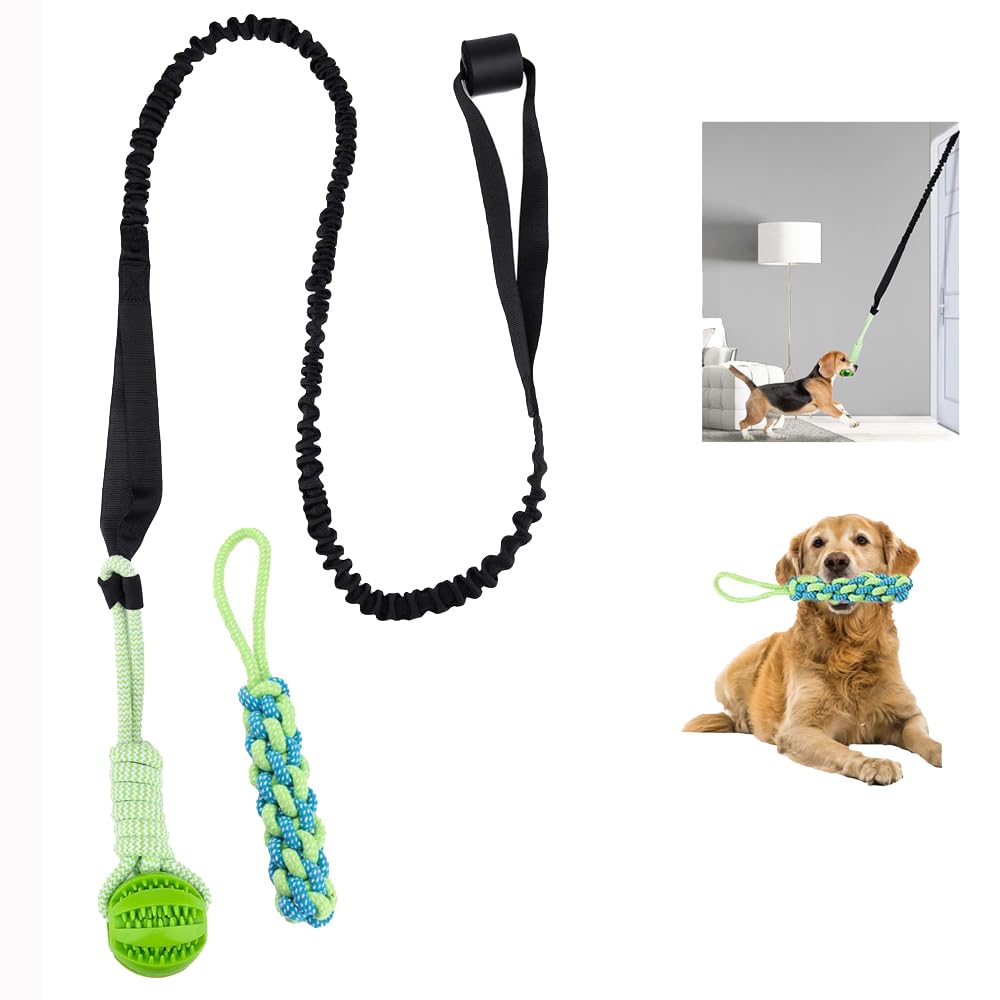 SLAUNT Dog Outdoor Bungee Tug Toy Spring Pole Dog Rope Toys Door Anchor ...