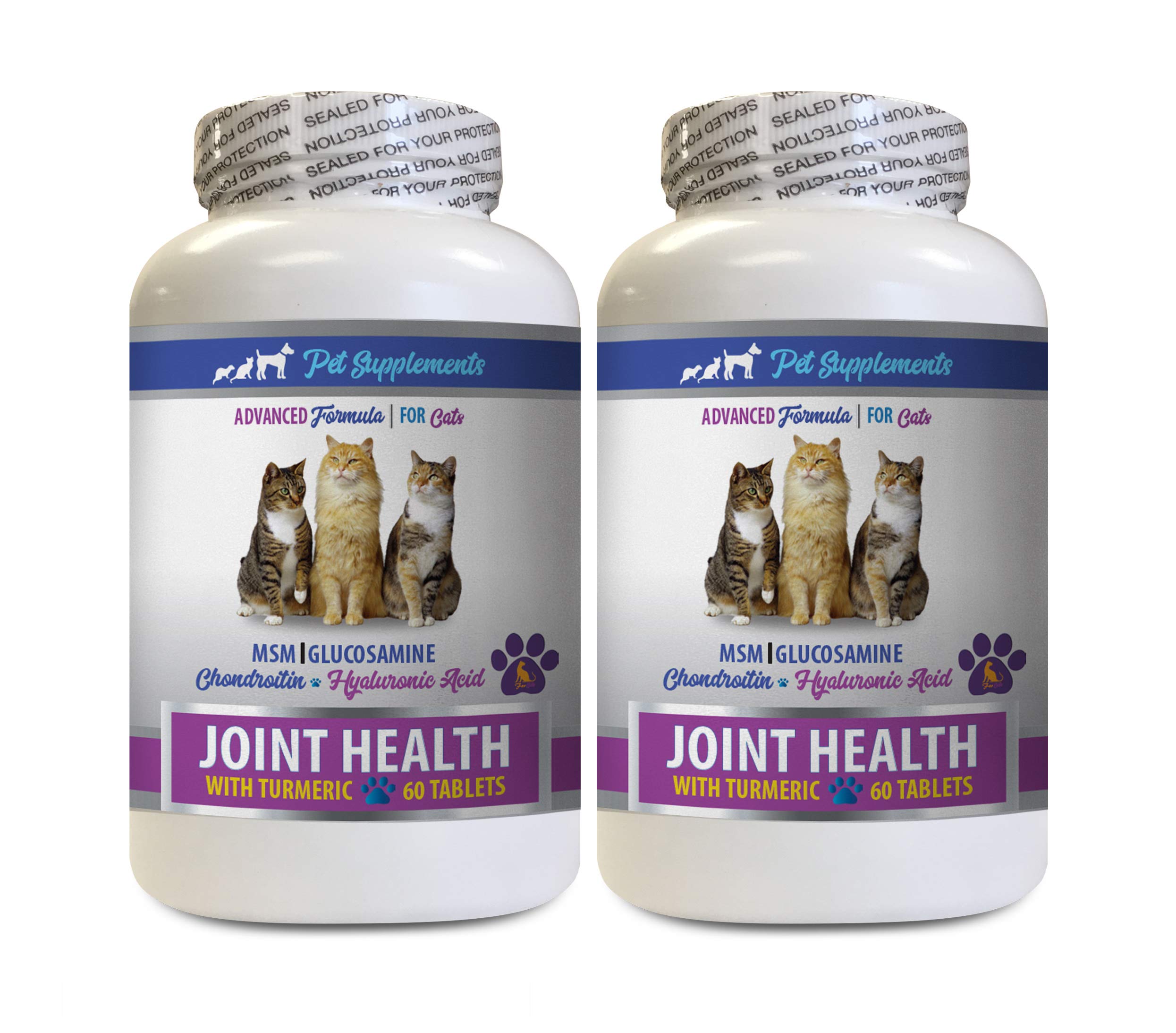 cat Hip and Joint Supplements - Cats Joint Health with Turmeric - MSM ...