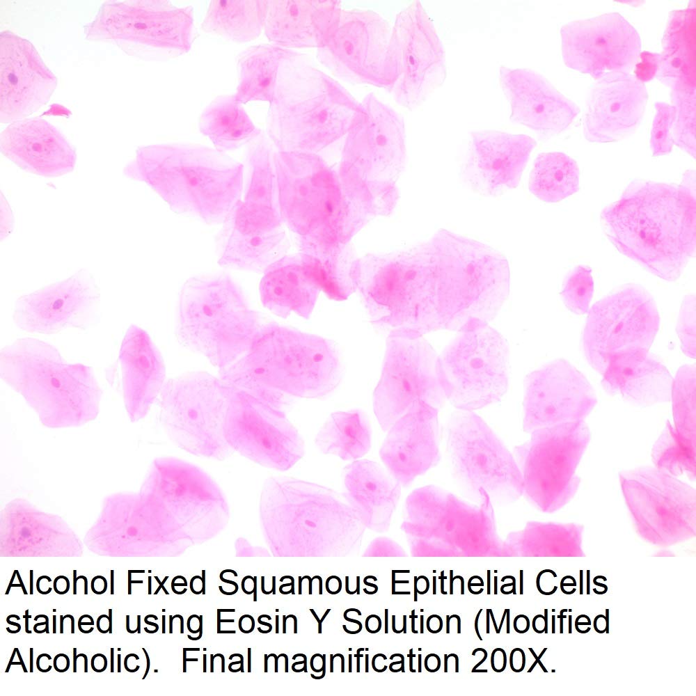Eosin Y Solution (Modified Alcoholic), 1 Gallon — 🛍️ The Retail Market