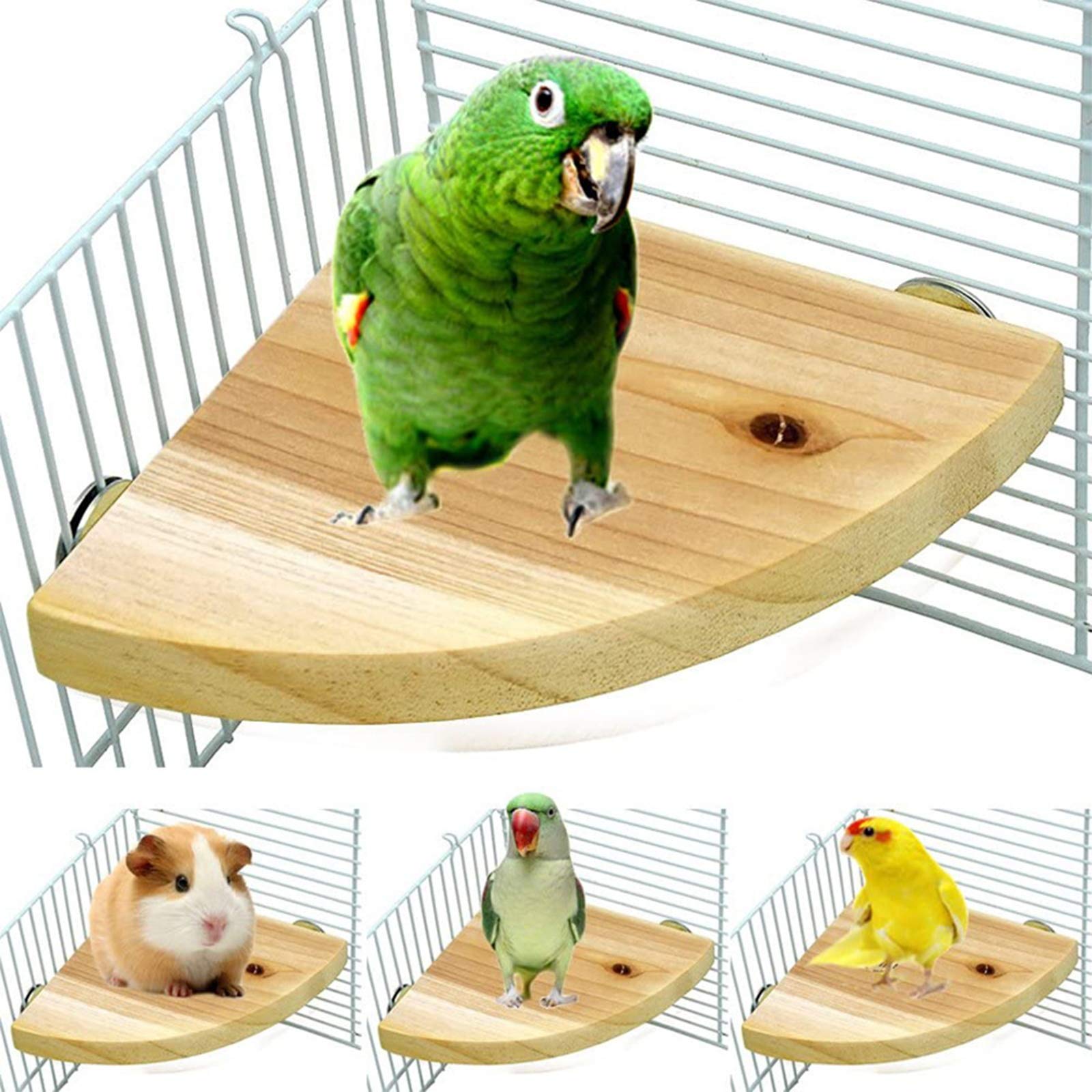Bird Perch Platform Stand，Wood Perch Bird Platform Parrot Stand ...