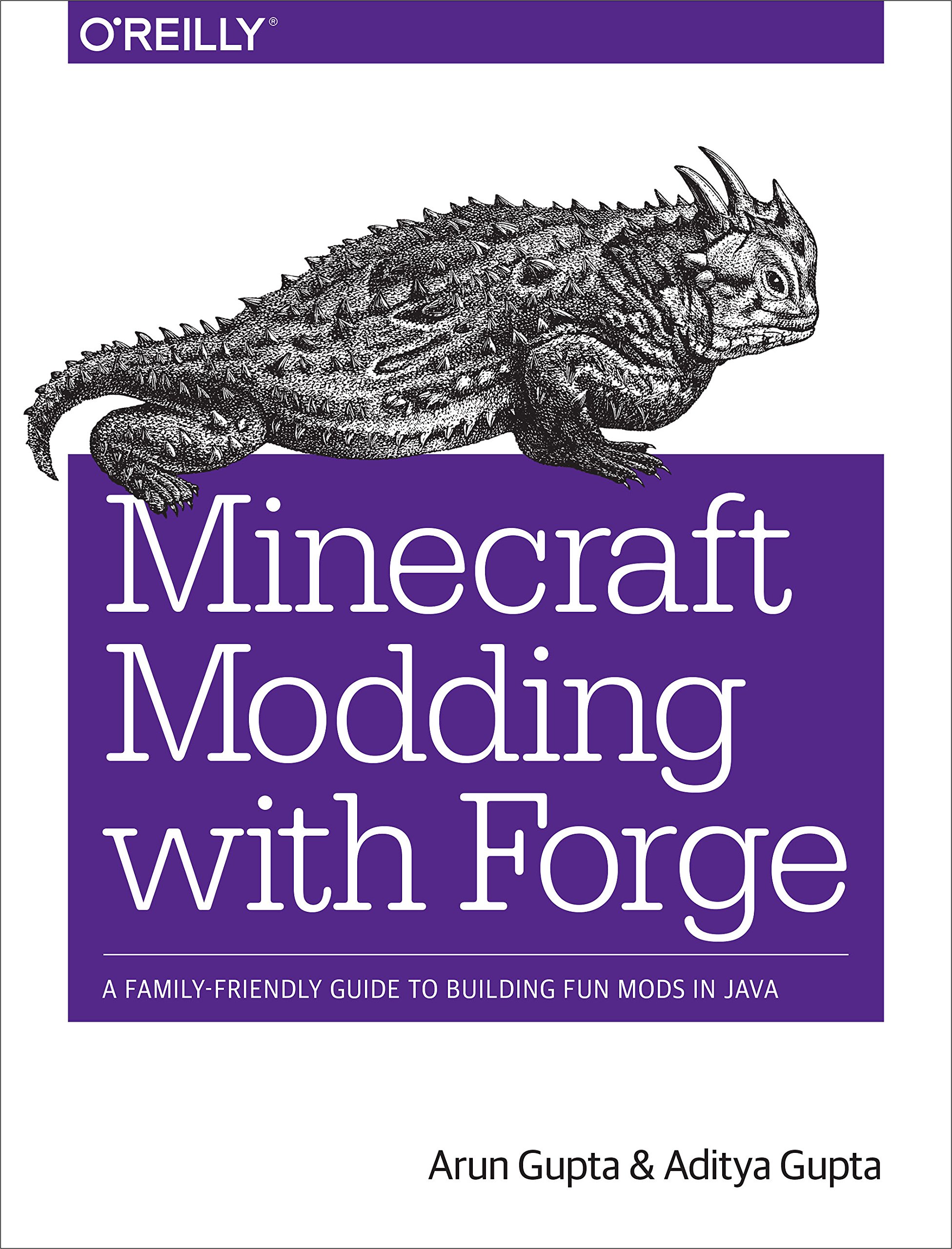 Minecraft Modding with Forge: A Family-Friendly Guide to Building Fun ...