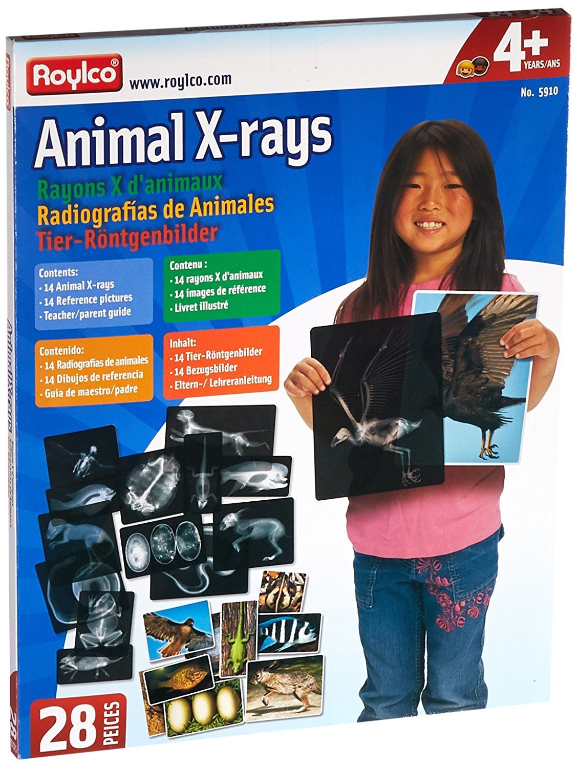 Shop and Save on Roylco Animal Xray Set 14 Realistic Animal Skeleton