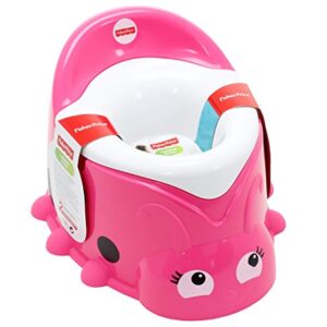 Fisher-Price Ladybug Potty — 🛍️ The Retail Market
