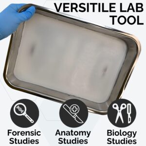 Eisco Labs - Metal Dissecting Tray with Wax, 12x9x2" - Stainless Steel ...