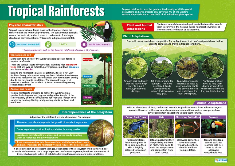 Daydream Education Tropical Rainforests | Geography Posters | Laminated ...
