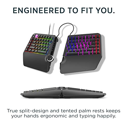 Cloud Nine ErgoTKL Ergonomic Tenkeyless Mechanical Keyboard for PC ...
