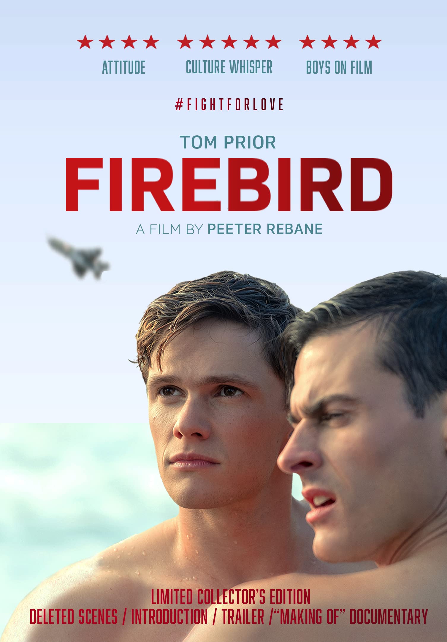FIREBIRD - DVD - Official Collector's Edition — 🛍️ The Retail Market