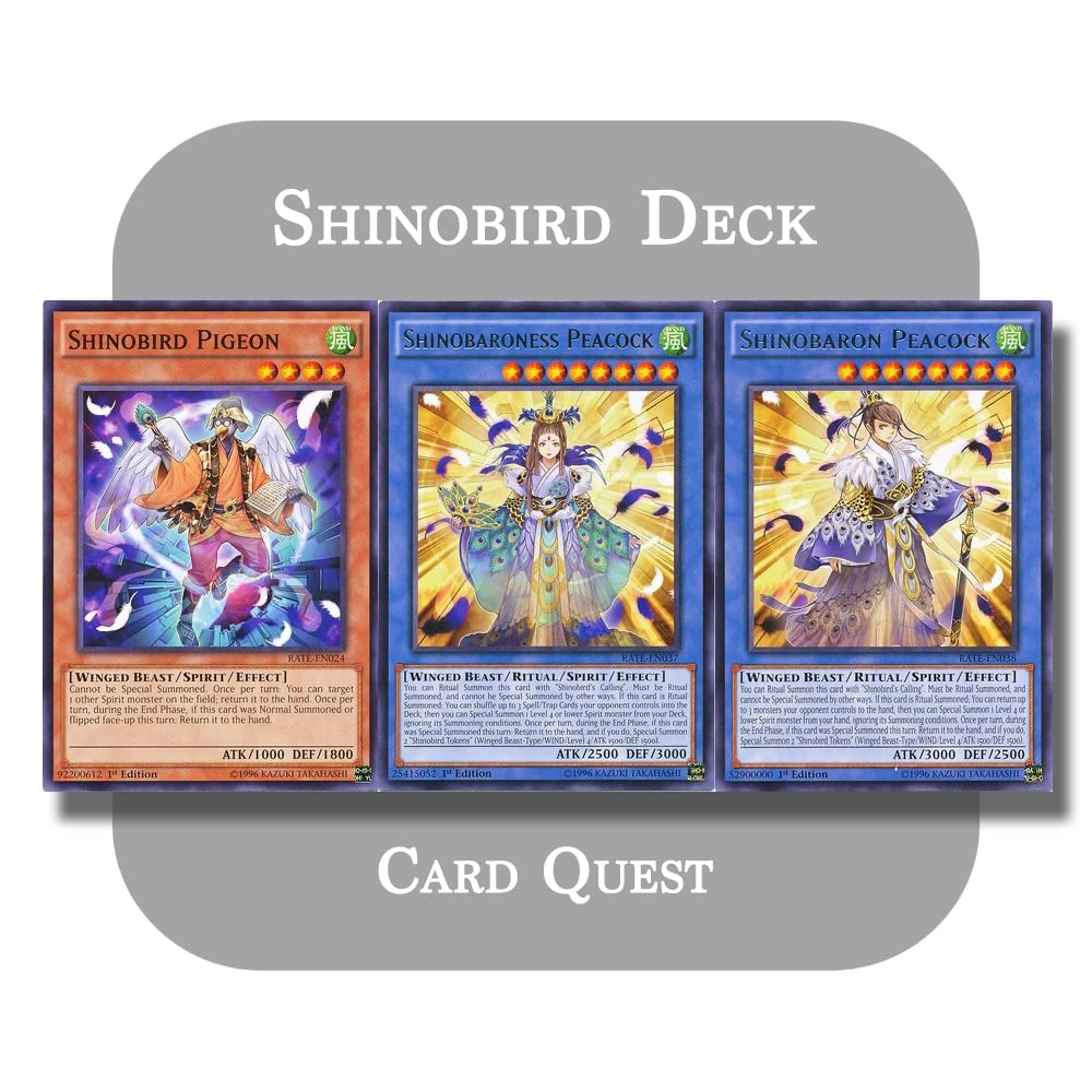 Yu-Gi-Oh! - Complete Shinobird Ritual Spirit Deck — 🛍️ The Retail Market