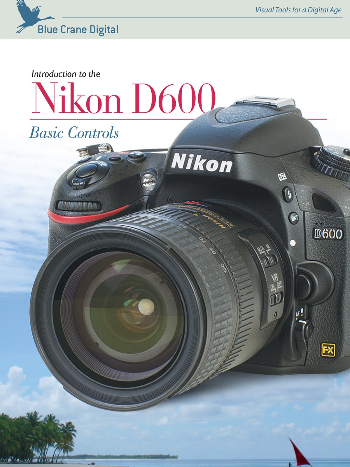 Introduction to the Nikon D600: Basic Controls — 🛍️ The Retail Market