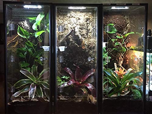 20 Gallon Long Aquarium Gecko/Arboreal Conversion Kit — 🛍️ The Retail ...