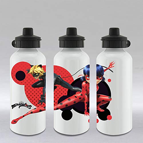 Personalized Planet Miraculous Ladybug and Cat Noir Aluminum Water ...