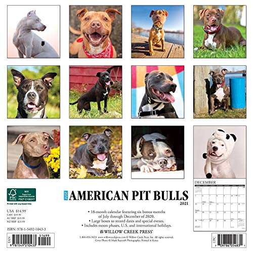Just American Pit Bull Terriers 2021 Wall Calendar (Dog Breed Calendar ...