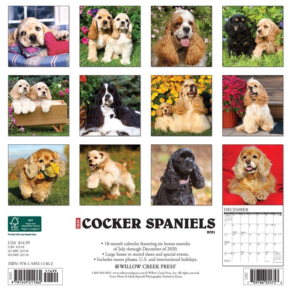 Just Cocker Spaniels 2021 Wall Calendar (Dog Breed Calendar) — 🛍️ The ...